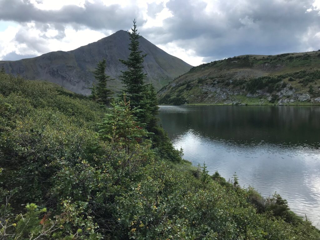 SFN Land Code Community Engagement Session - Saulteau First Nations